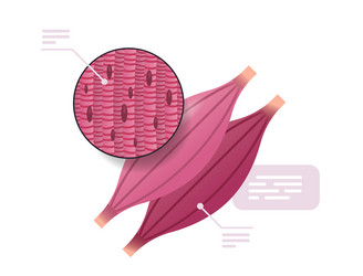 Stiffness Icon Vector Images (over 280)