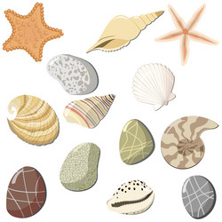 Seashells Vector Images (over 35,000)