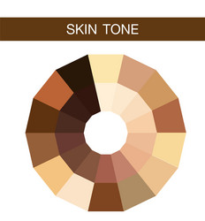 Skin tone infographic color table chart beauty Vector Image