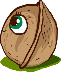 Walnut with green eyes on a white background Vector Image