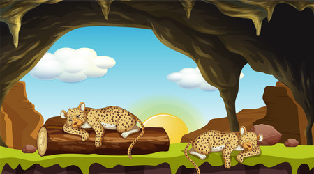 Tiger sleeping in front of the cave Royalty Free Vector