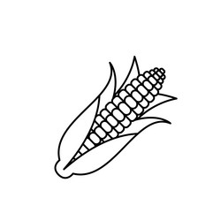 Corn Outline