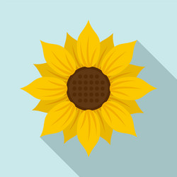 Sunflower cute icon in flat style on white Vector Image