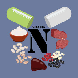 Vitamin n healthy nutrient rich food Royalty Free Vector