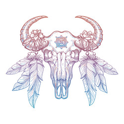 Hand drawn chalk buffalo skull Royalty Free Vector Image