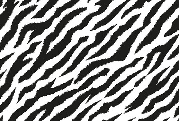 Zebra stripes seamless pattern Royalty Free Vector Image