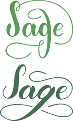Hand written sage text isolated on white Vector Image