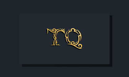 Initial letters tq monogram logo design bundle Vector Image