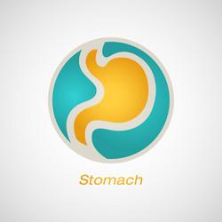 Digestive system gastrointestinal tract stomach Vector Image