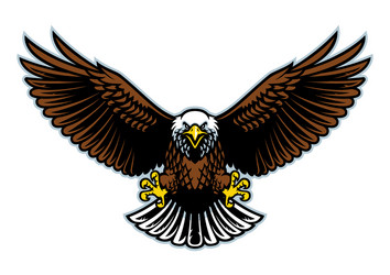 Flying eagle spread the wings Royalty Free Vector Image