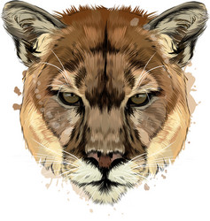 Puma Vector Images within Animals & Wildlife (over 3,300)