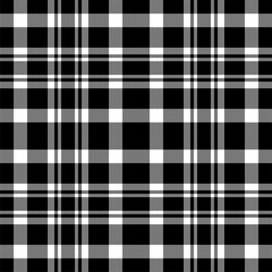 Plaid seamless pattern design black and white Vector Image
