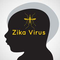Zika virus poster Royalty Free Vector Image - VectorStock