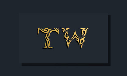 Initial letters tw monogram logo design bundle Vector Image