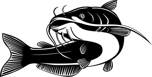 Catfish Vector Images (over 2,200)