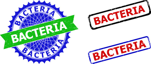 Anthrax rosette and rectangle bicolor stamp seals Vector Image