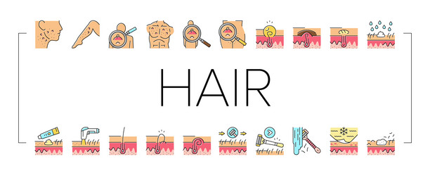 Pubic hair Vector Images & Graphics for Commercial Use | VectorStock