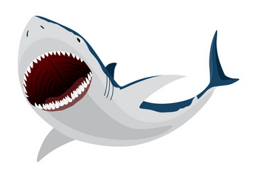 Shark Jaws - Open Mouth Royalty Free Vector Image