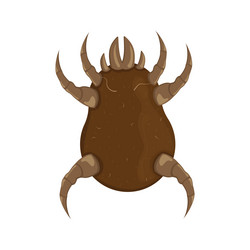 Dust mites set microscopic Royalty Free Vector Image