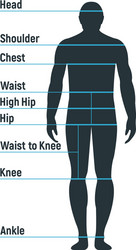 Male size chart anatomy human character people Vector Image