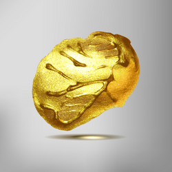 Hand drawing gold brush stroke Royalty Free Vector Image