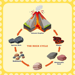 Rock cycle processes diagram Royalty Free Vector Image