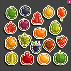 Grape fruit Royalty Free Vector Image - VectorStock