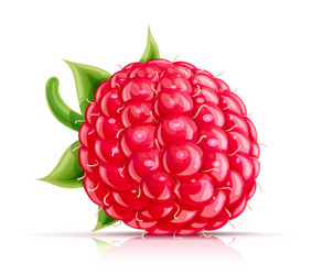 Raspberry berry cartoon Royalty Free Vector Image