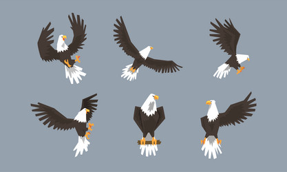 Bird Beak Vector Images (over 64,000)