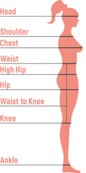 Female size chart anatomy human character people Vector Image