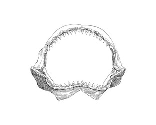 Mermaid figurehead hand drawn sketch in Royalty Free Vector