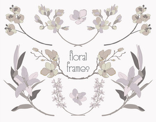 Floral text dividers flower design Royalty Free Vector Image