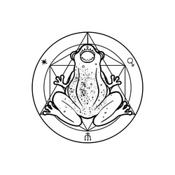 Frog one line art drawing minimalist design Vector Image