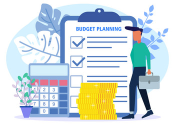 Graphic cartoon character budget planning Vector Image