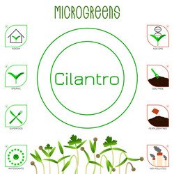 Cilantro Logo Vector Images (over 220)