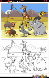 Jabiru Vector Images (61)