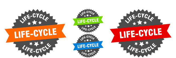 Life Cycle Seal Vector Images (over 280)
