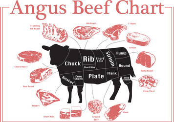 Different cows colors set Royalty Free Vector Image