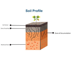 Soil Vector Images (over 85,000)