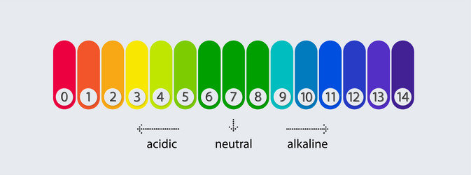Ph scale chart for acid and alkaline solutions Vector Image