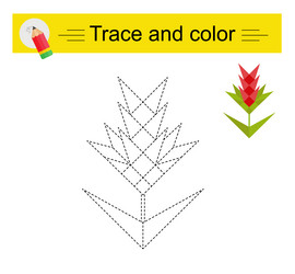 Trace and color for children preschool worksheet Vector Image