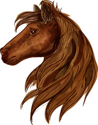 Bronco Vector Images (over 3,400)