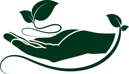 Leaf in hand icon Royalty Free Vector Image - VectorStock