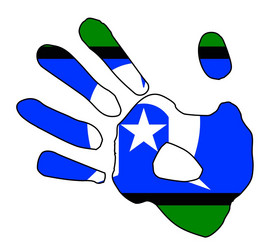 Torres strait islander flag Royalty Free Vector Image