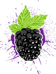 Berry Vector Images (over 240,000)