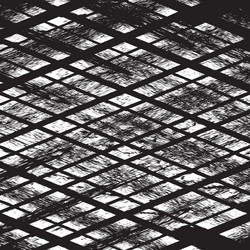 Texture the cage background of grid Royalty Free Vector
