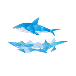 Polygon Shark Vector Images (over 210)