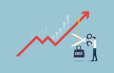 Costs reduction cut optimization Royalty Free Vector Image