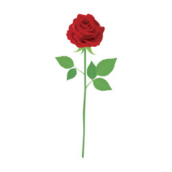 Long Stem Roses Clipart