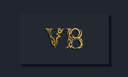 Initial letters vb monogram logo design bundle Vector Image